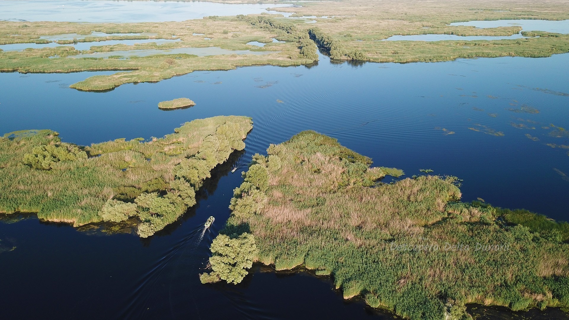 Descopera Delta Dunarii | Sejururi si excursii in Delta Dunarii